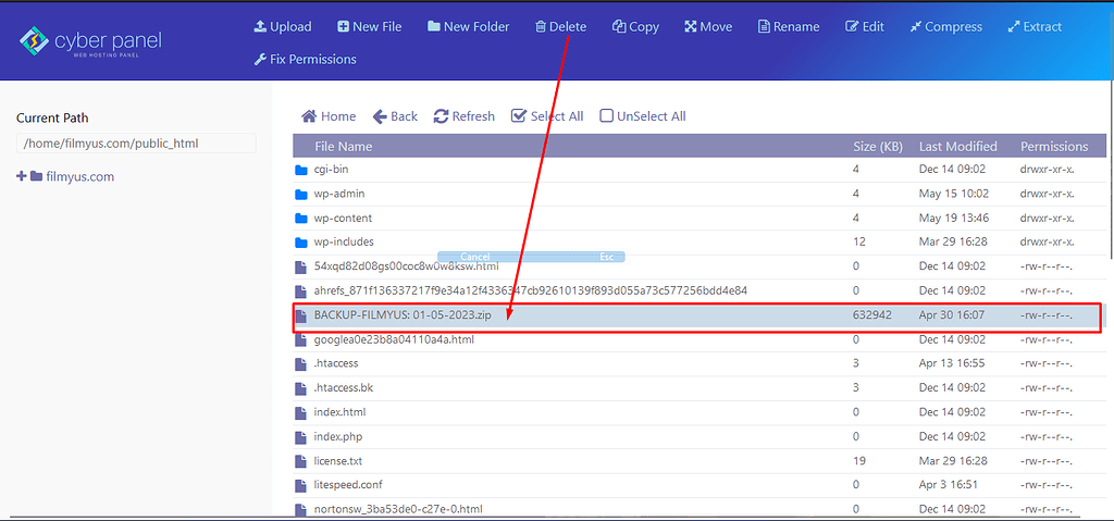 Files/Folders can not be deleted Problem - Web Server - CyberPanel Community
